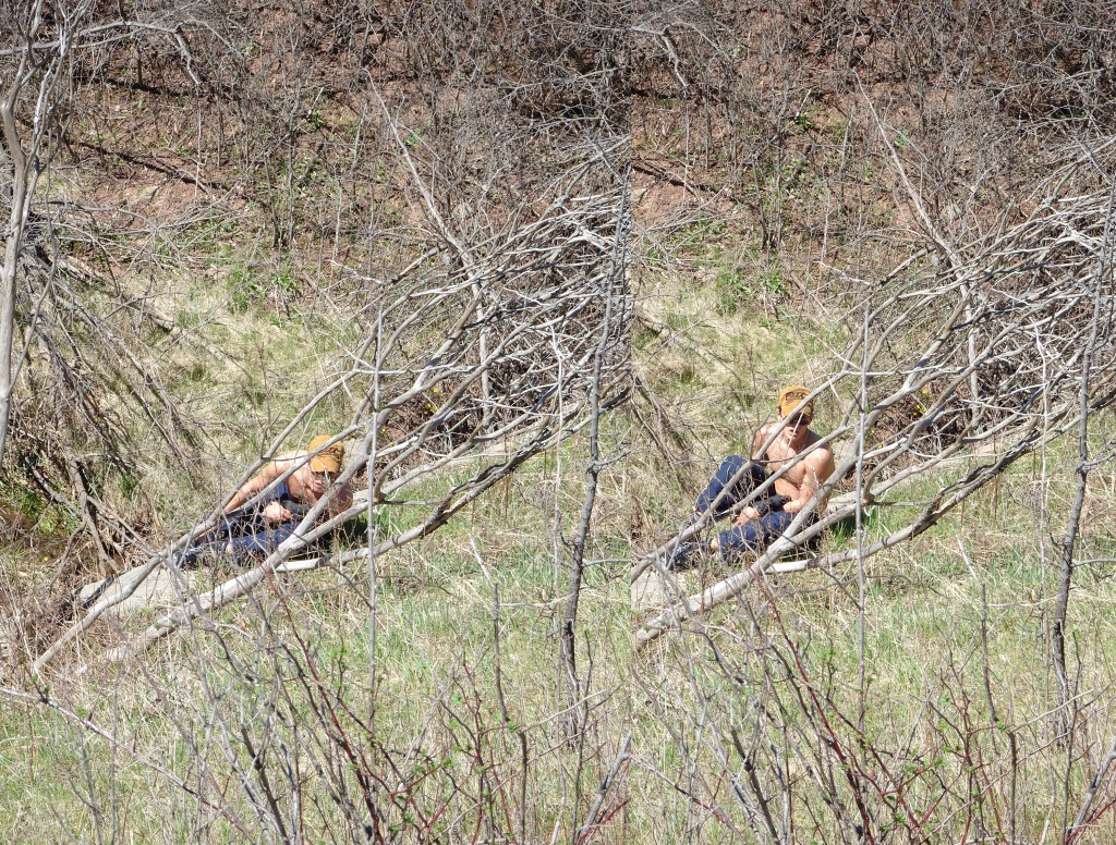 Streaming: Dylan Aiello's Knowithall - The Editorial Magazine